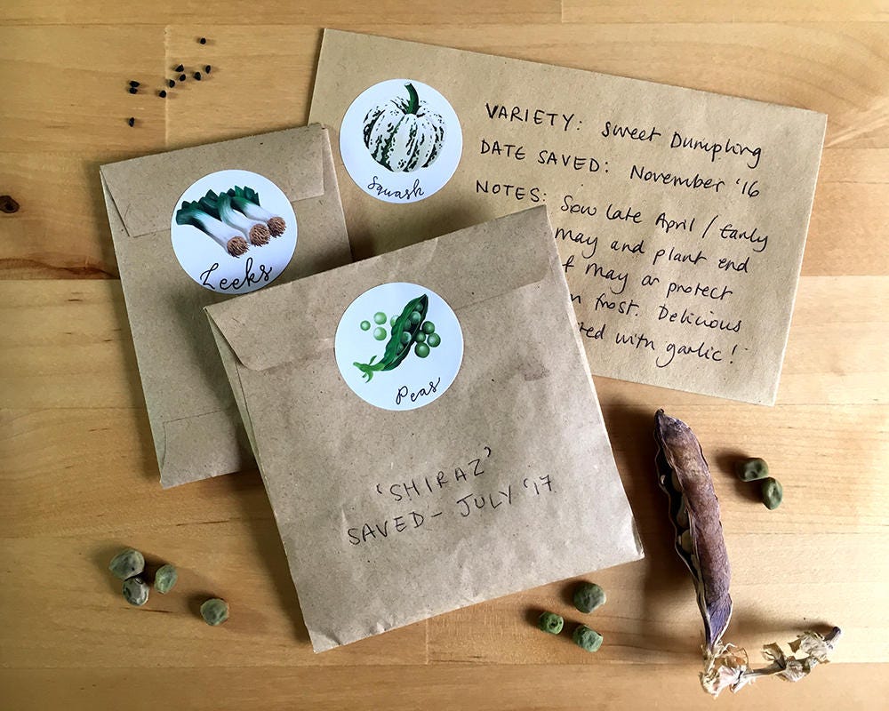 Custom Sticker Sheets Single Vegetable Fruit Herb or Flower - Etsy