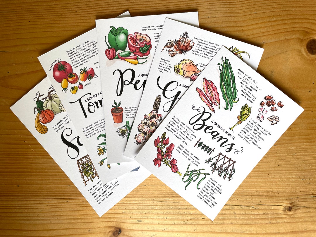 Growers Guides A6 Instruction Cards, 5 Pack - Etsy