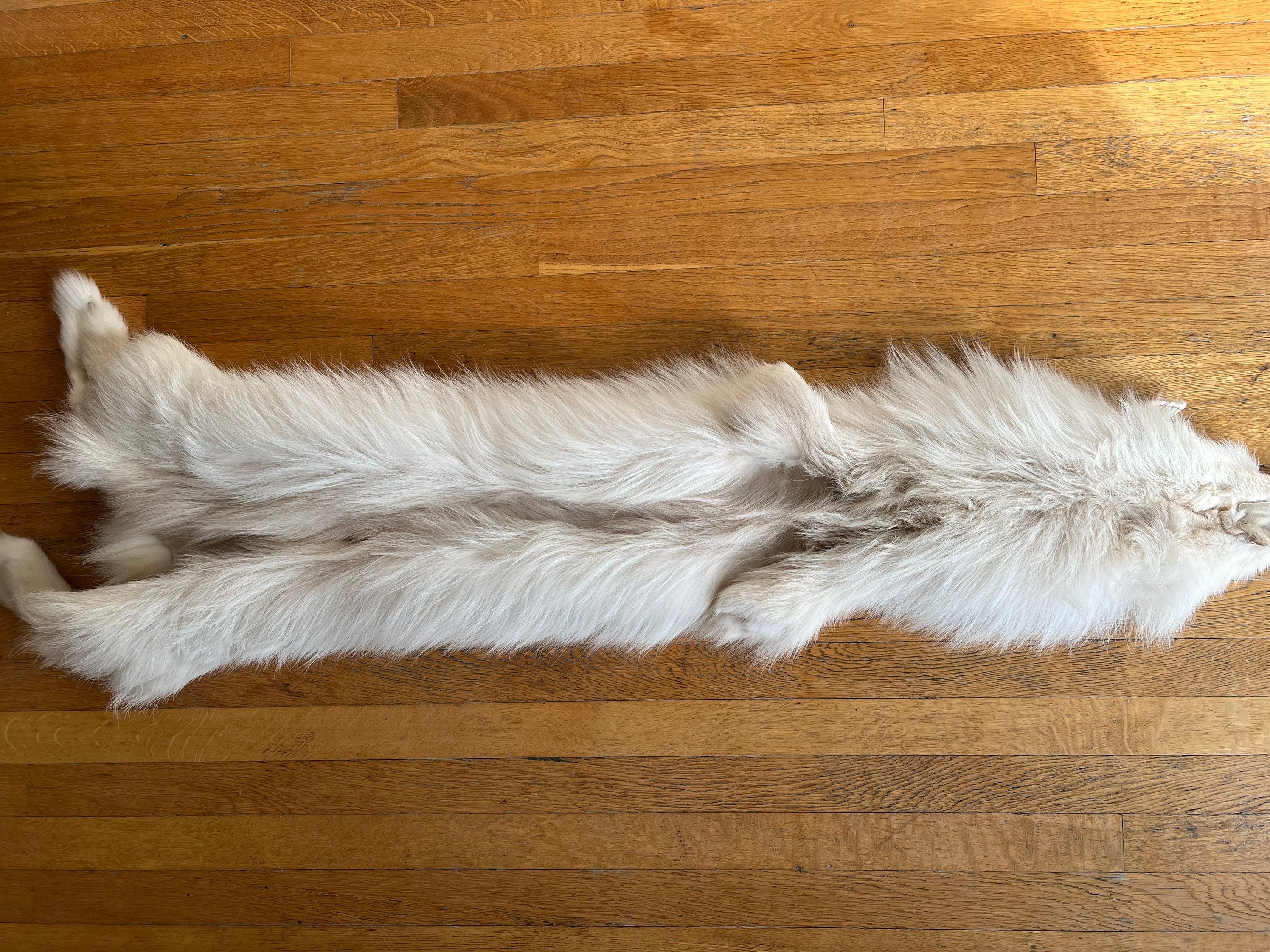 Fox Pelt Wallhanger Palomino Silver Fox Fur Skin Real Fur - Etsy