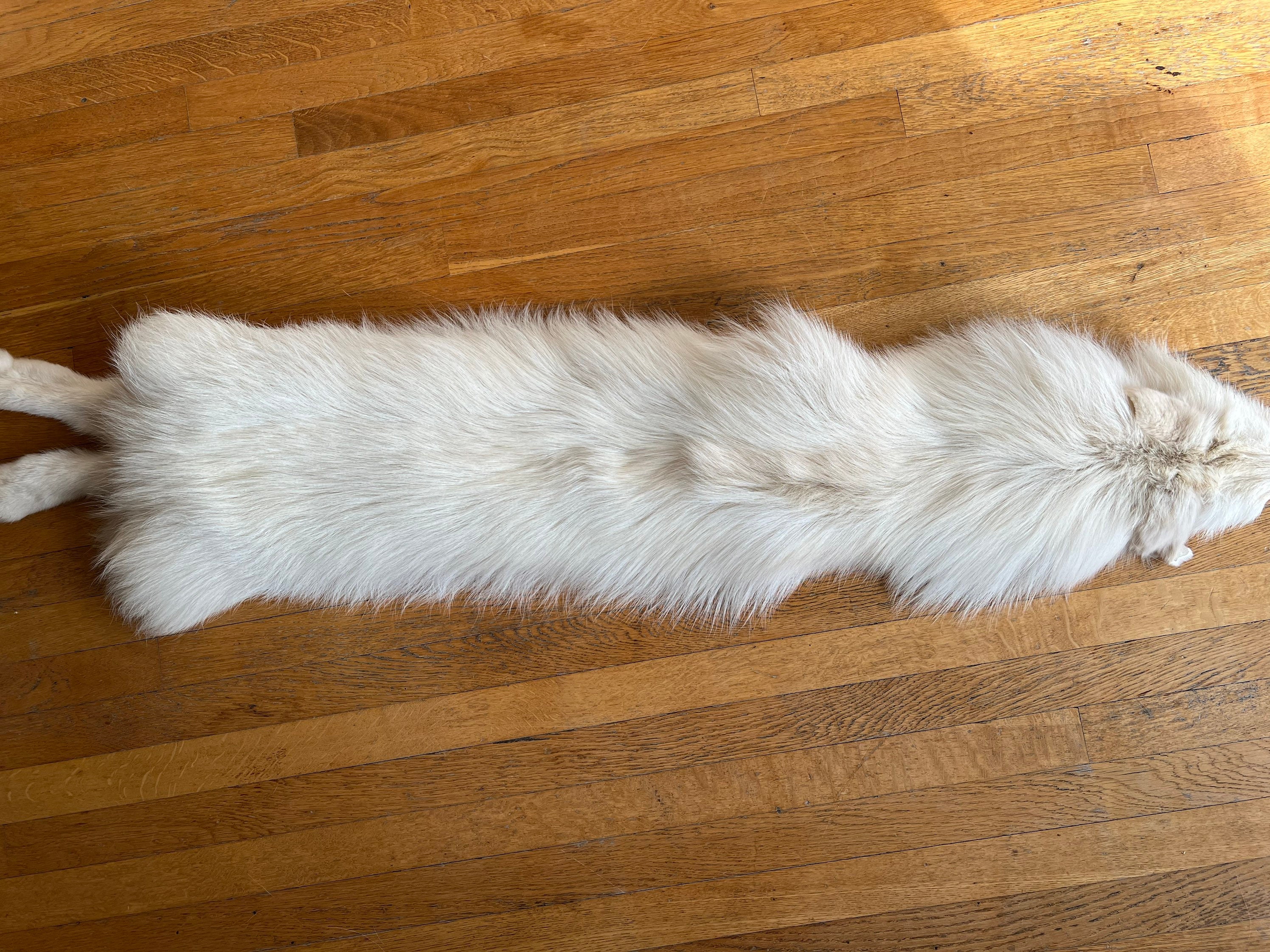 Fox Pelt Wallhanger Palomino Silver Fox Fur Skin Real Fur Pelt for ...