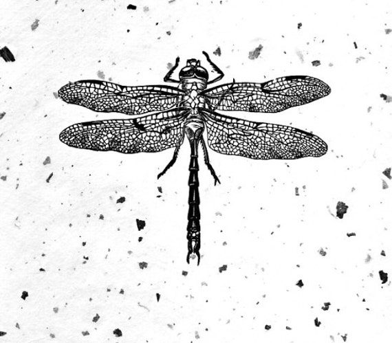 Naaldekoker Dragonfly wood engraving | Etsy