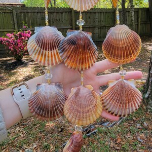 Red Scallop Seashell and Driftwood Mobile W/ Seed Beads and Crystals ...