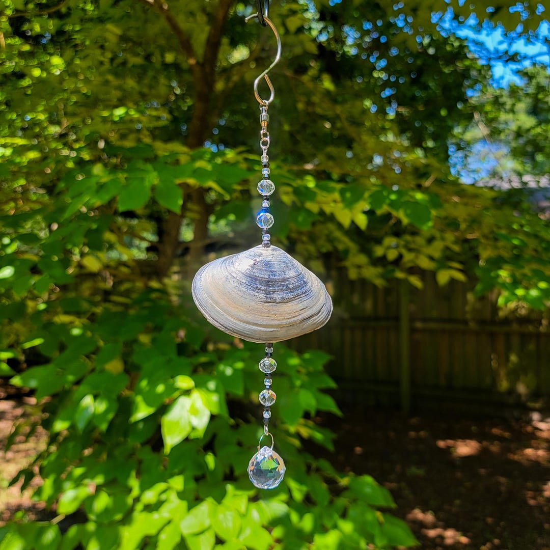 Clam Shell Mini Sun Catcher W/ Crystal Beads || Beach/boho Window ...
