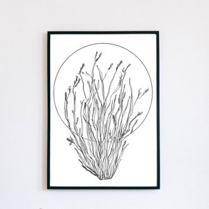 Ocotillo Desert Plant Art Print - Sonoran Southwestern Home Decor ...