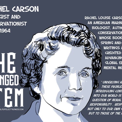 SHE CHANGED STEM Poster Seriesdownloadable Digital Files - Etsy