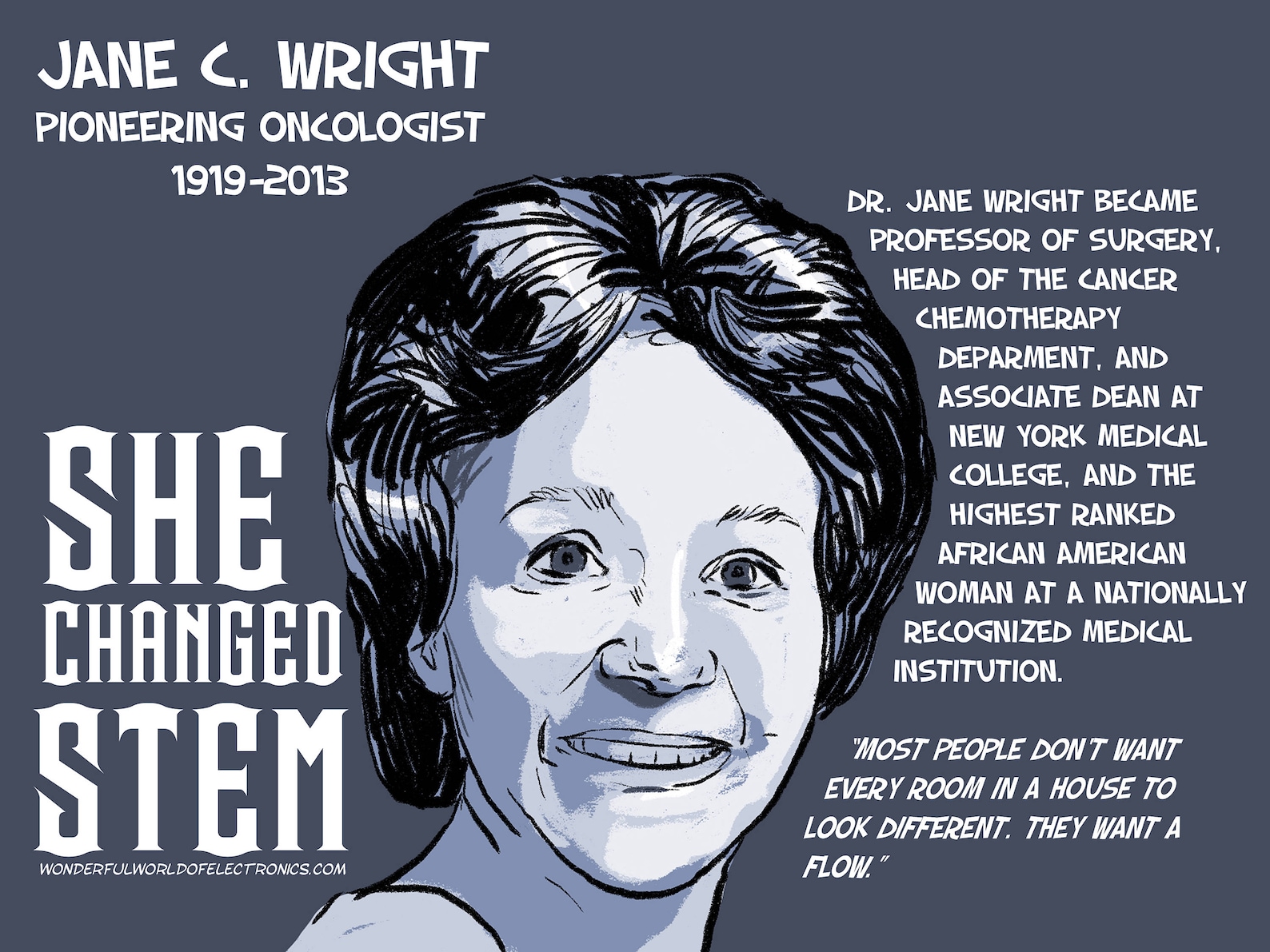 Jane C. Wright, Digital Poster, SHE CHANGED STEM Series. Downloadable ...