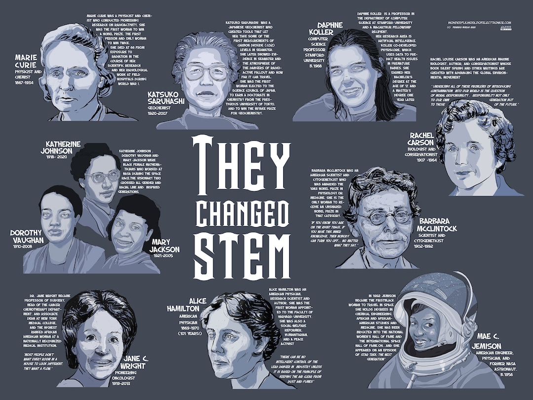 THEY CHANGED Stem" Poster, Eleven Women That Changed Science - Etsy