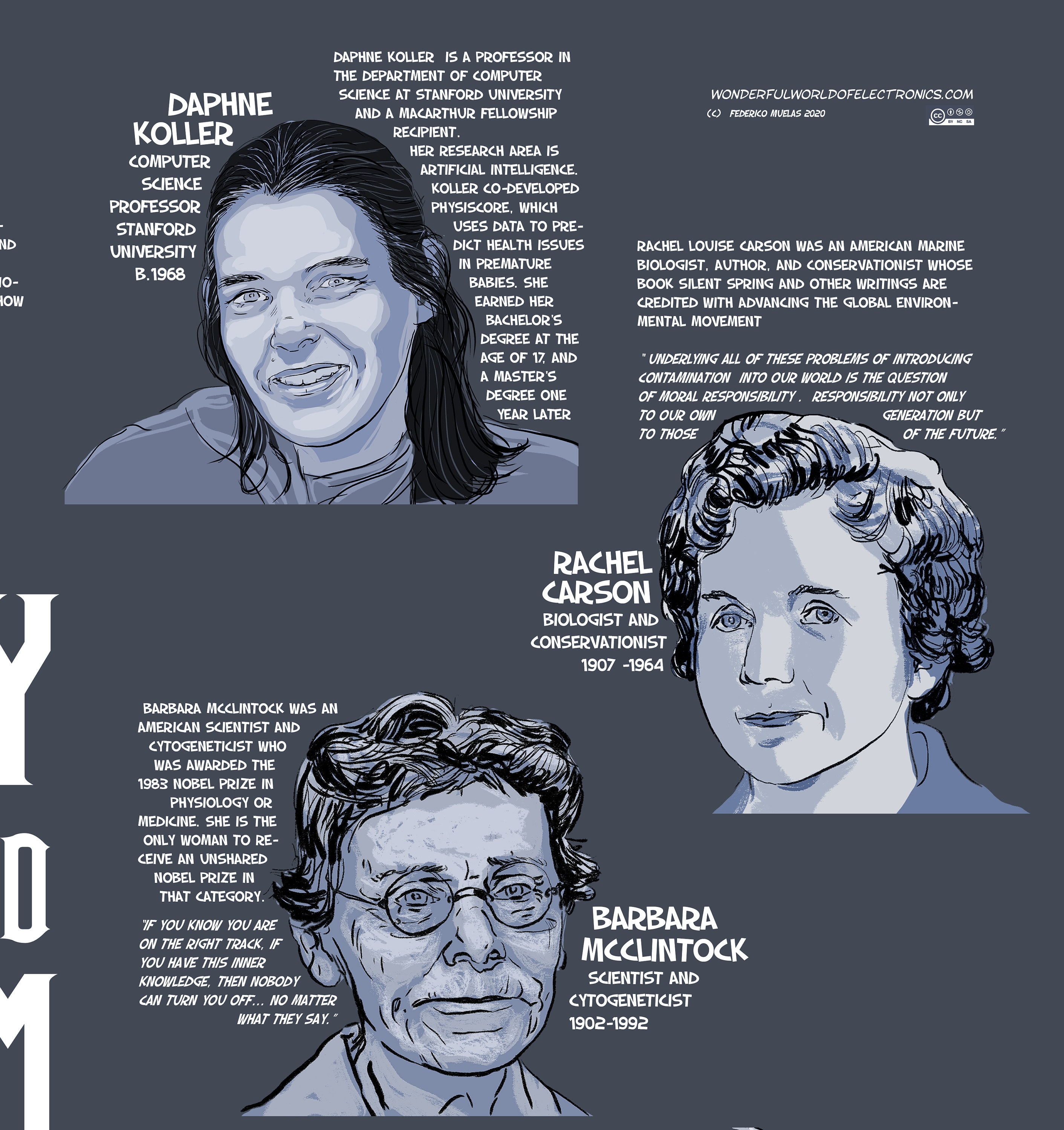THEY CHANGED Stem" Poster, Eleven Women That Changed Science - Etsy