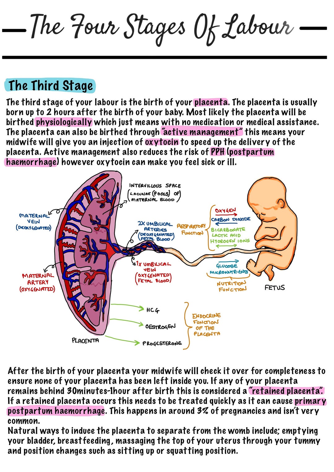 The Four Stages of Labour - Part 3 - Etsy