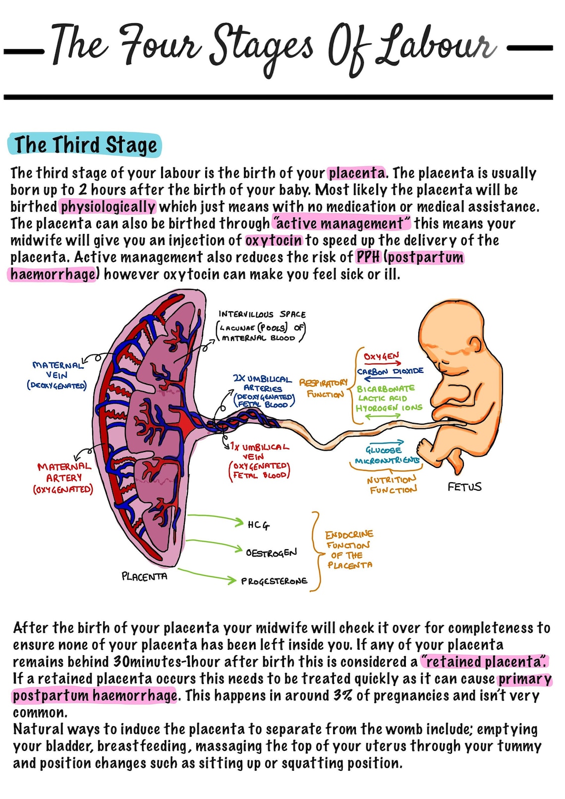 The Four Stages of Labour Part 3 - Etsy The Four Stages of Labour Part 3 - Etsy