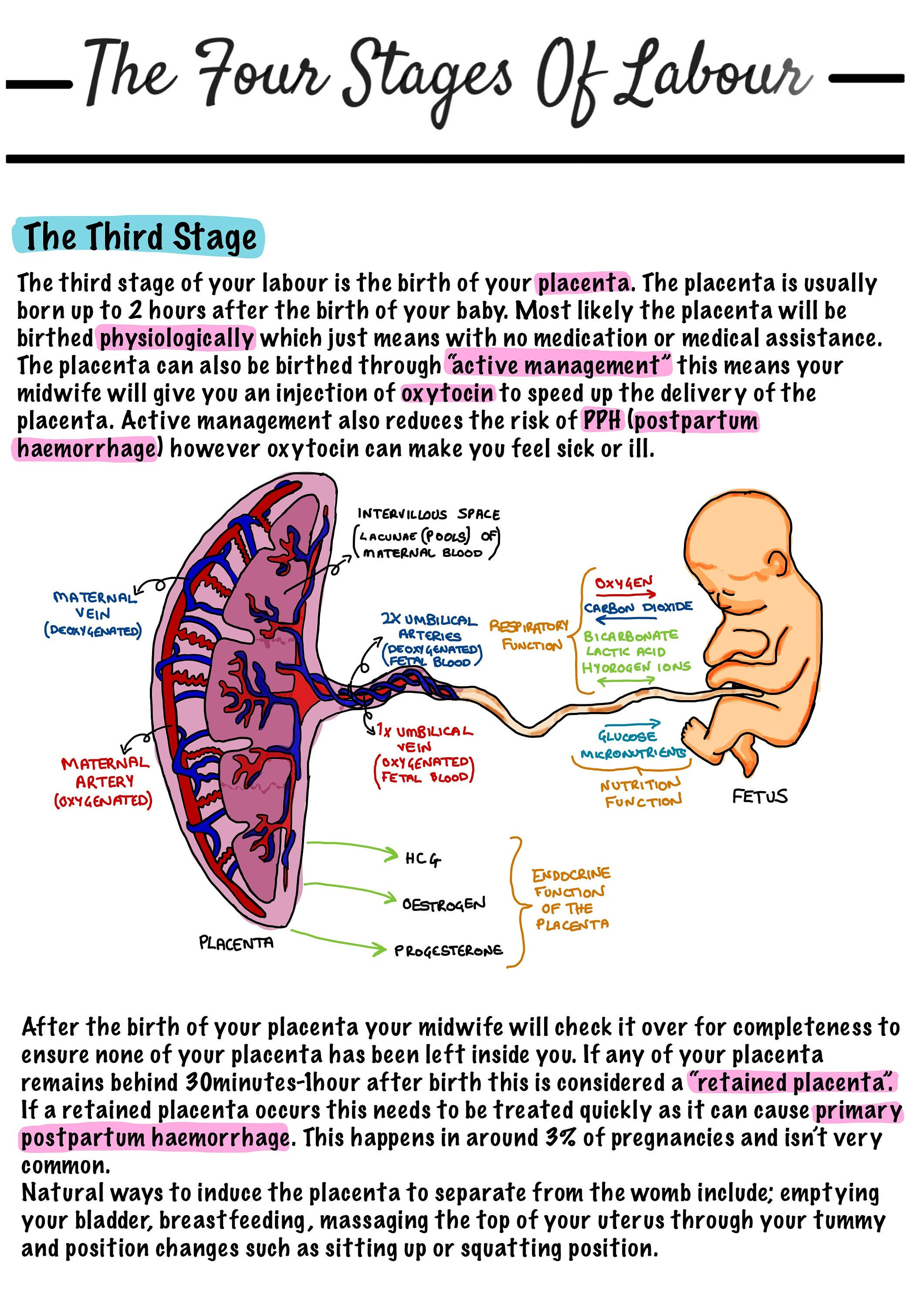 The Four Stages Of Labour Part 3 | Etsy The Four Stages Of Labour Part 3 | Etsy