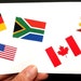 40 Removable Stickers: South Africa Flag, S. African Party Favors ...