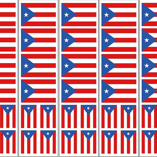 Puerto Rico Flag Vinyl Stickers-decals Chica Boricua - Etsy