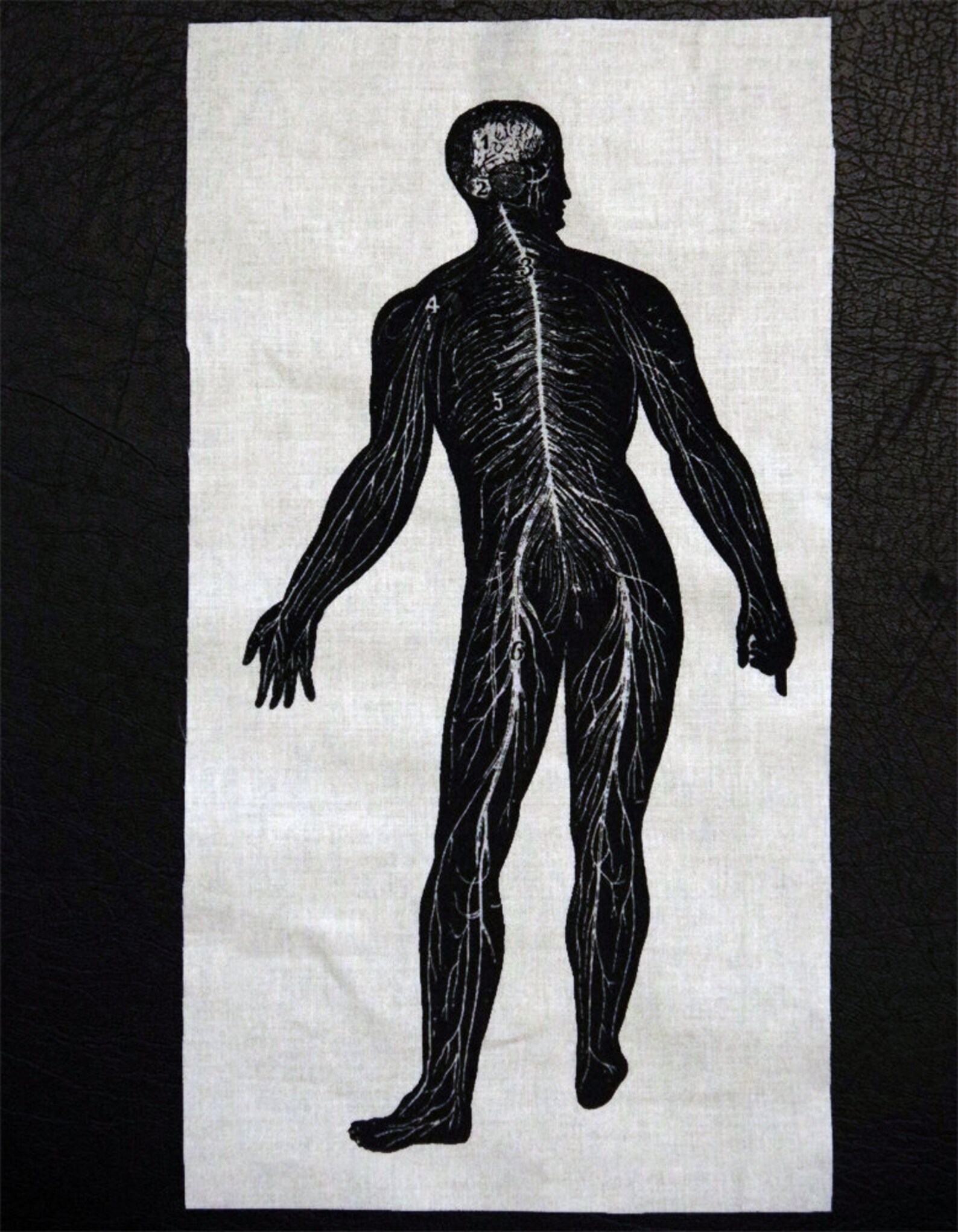 ANATOMICAL FIGURE Screenprint Patch - Etsy