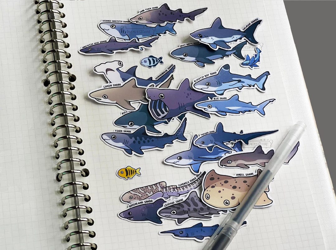 Cute Shark Species Sticker | Handmade | Shark Sticker Waterproof ...