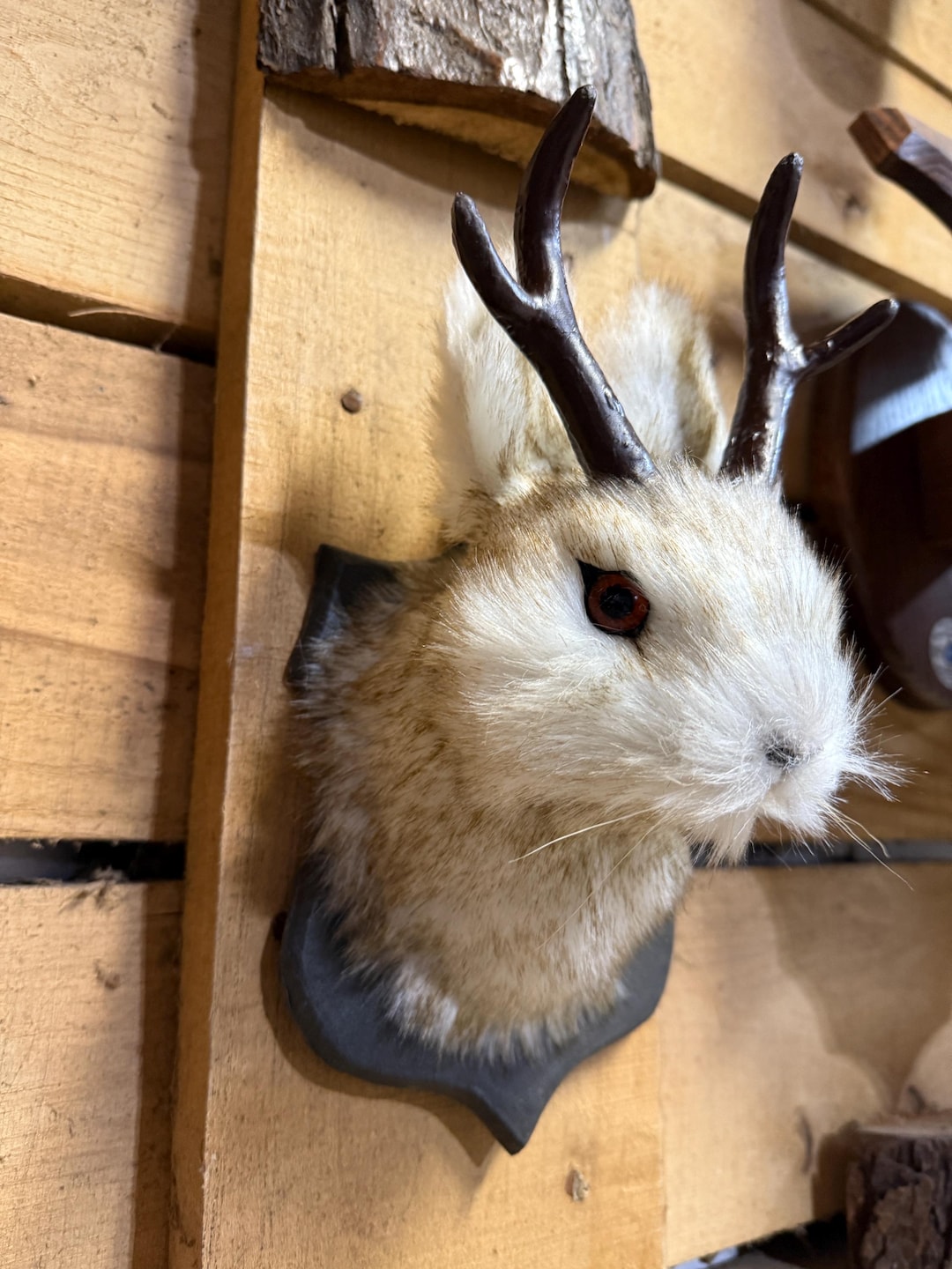 Jackalope - Etsy