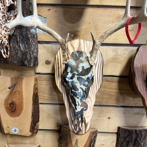Euro Classic Table or Wall Deer Plaque - Etsy
