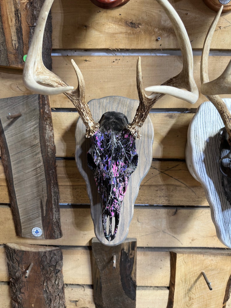 Euro Classic Table or Wall Deer Plaque - Etsy