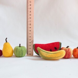 Needle Felted Fruits, 10 Pieces Set, Autumn Felt Decoration, Nature ...
