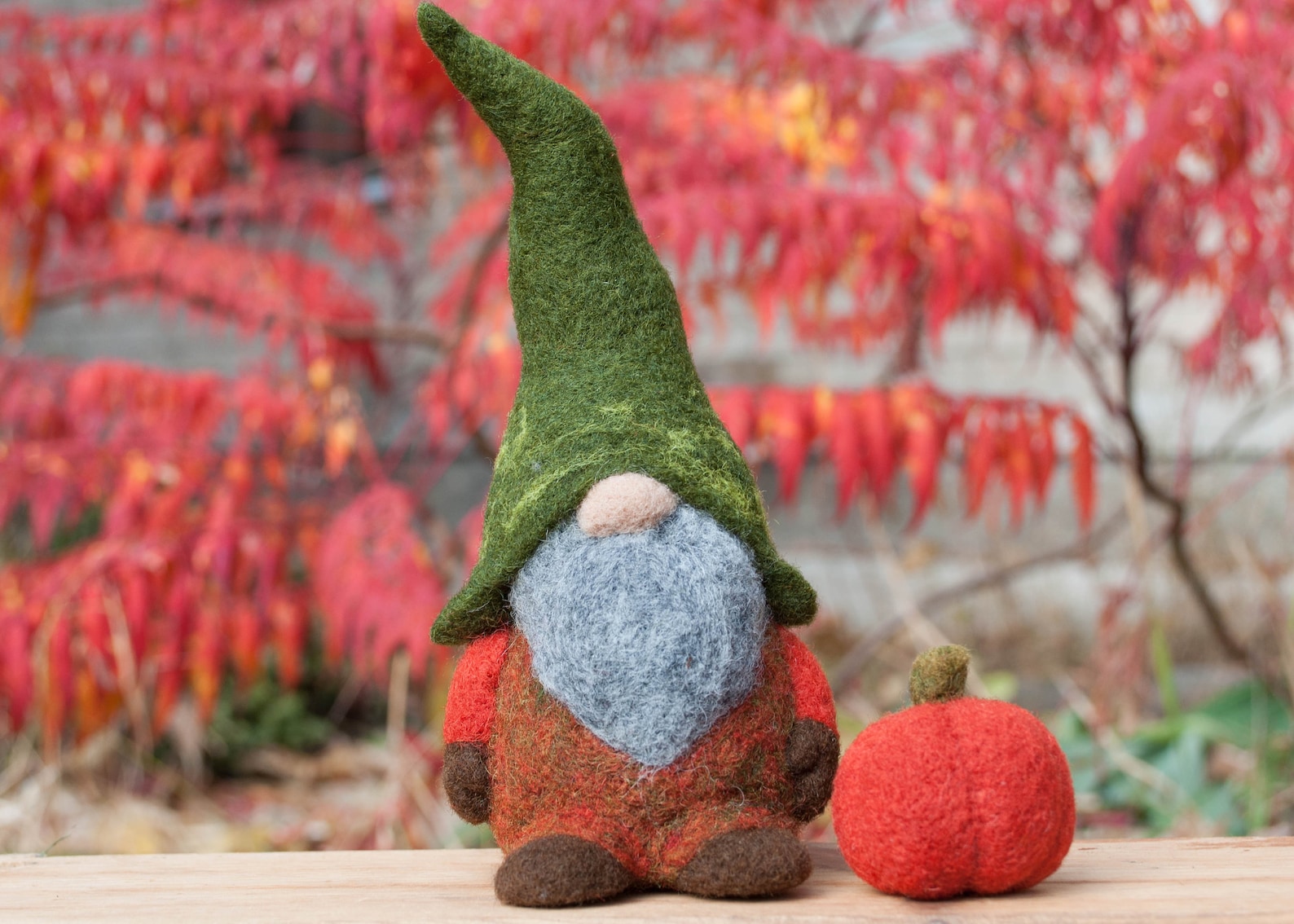 Needle Felted Woodland Gnome Felt Gnomes Waldorf Gnome Wool - Etsy