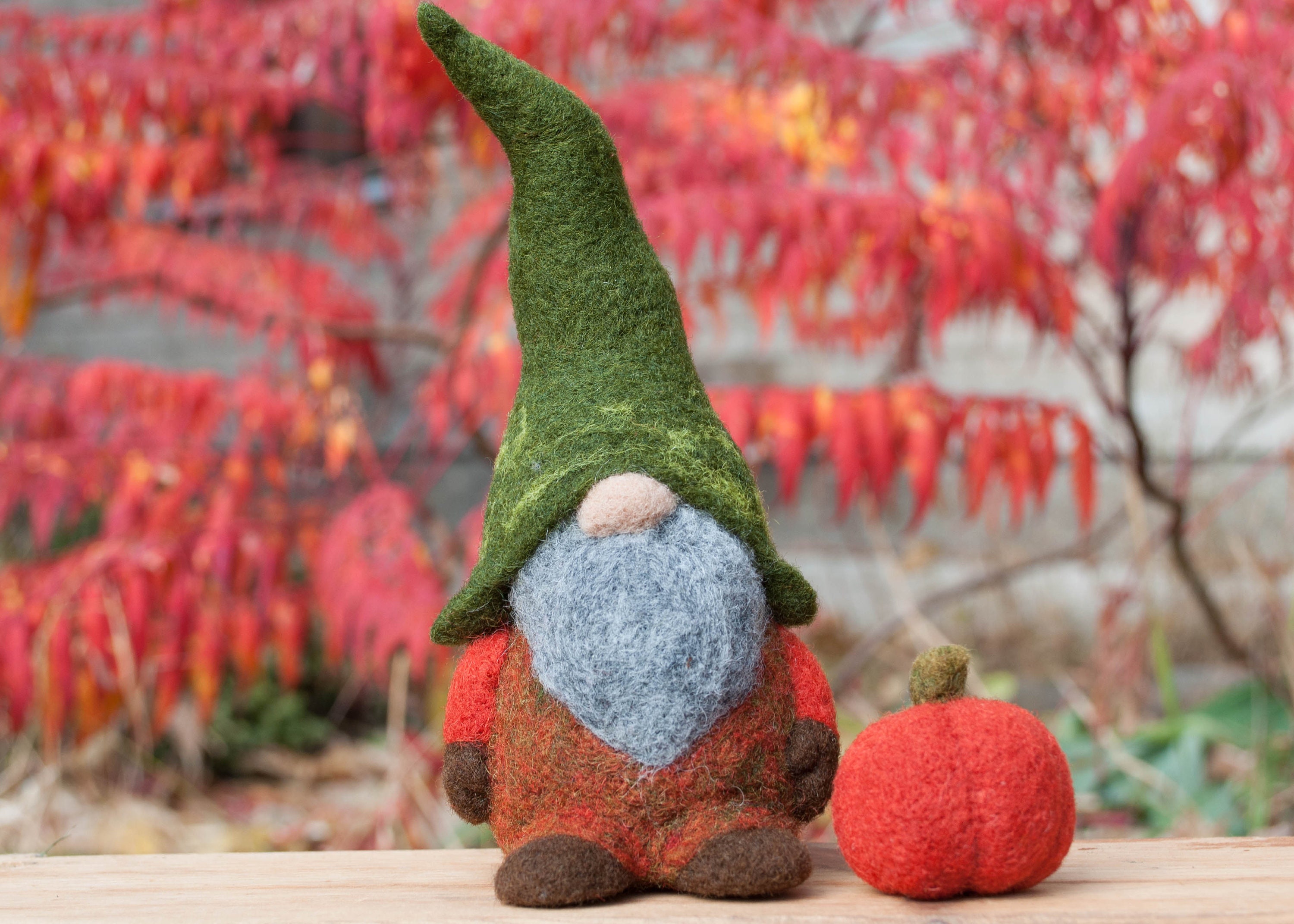 Needle Felted Woodland Gnome Felt Gnomes Waldorf Gnome Wool - Etsy