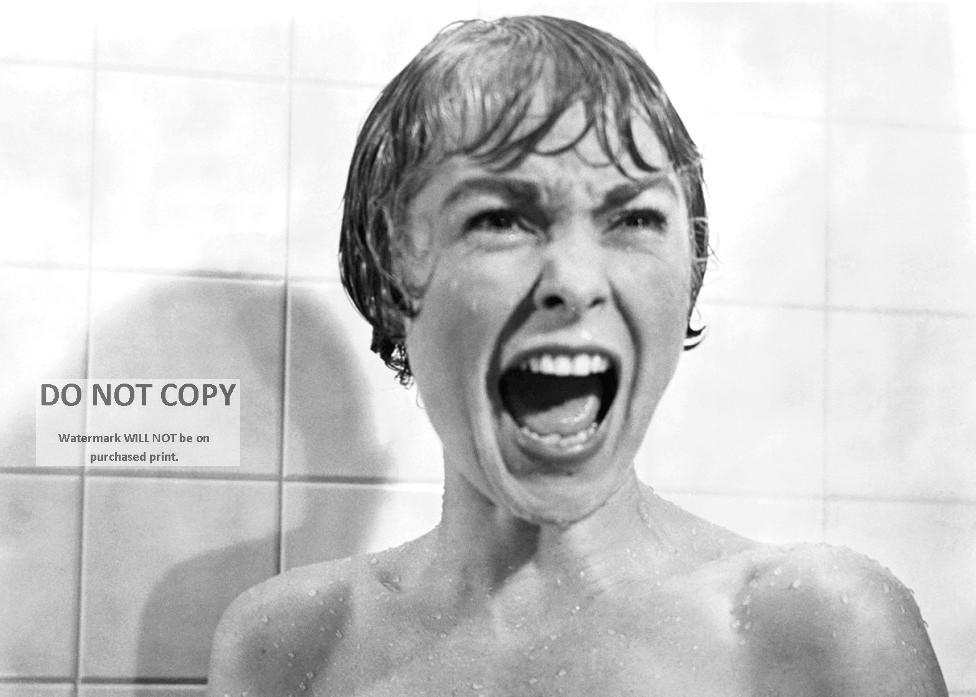 Janet Leigh in the Shower Scene From the Film "psycho" - 5X7 or 8X10 ...
