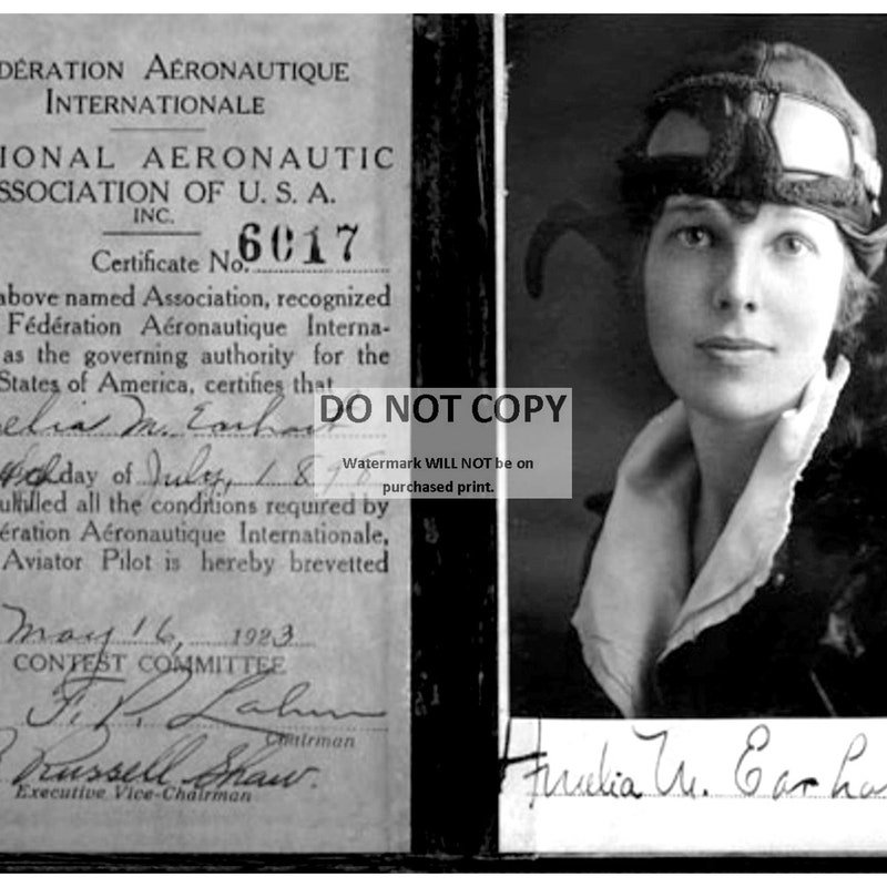 Amelia Earhart - Etsy