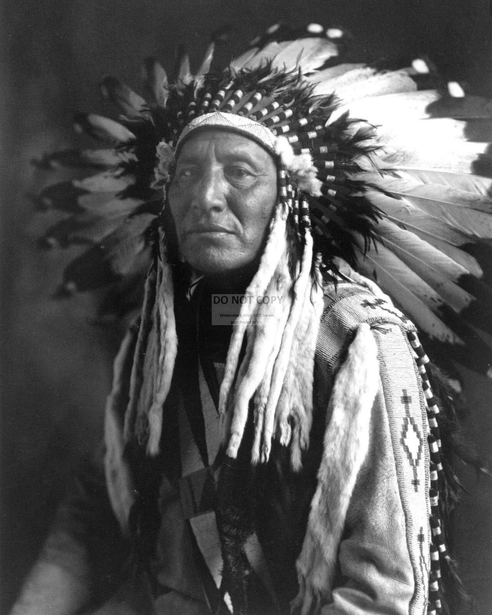 Photographer Roland W. Reed chief in Full - Etsy