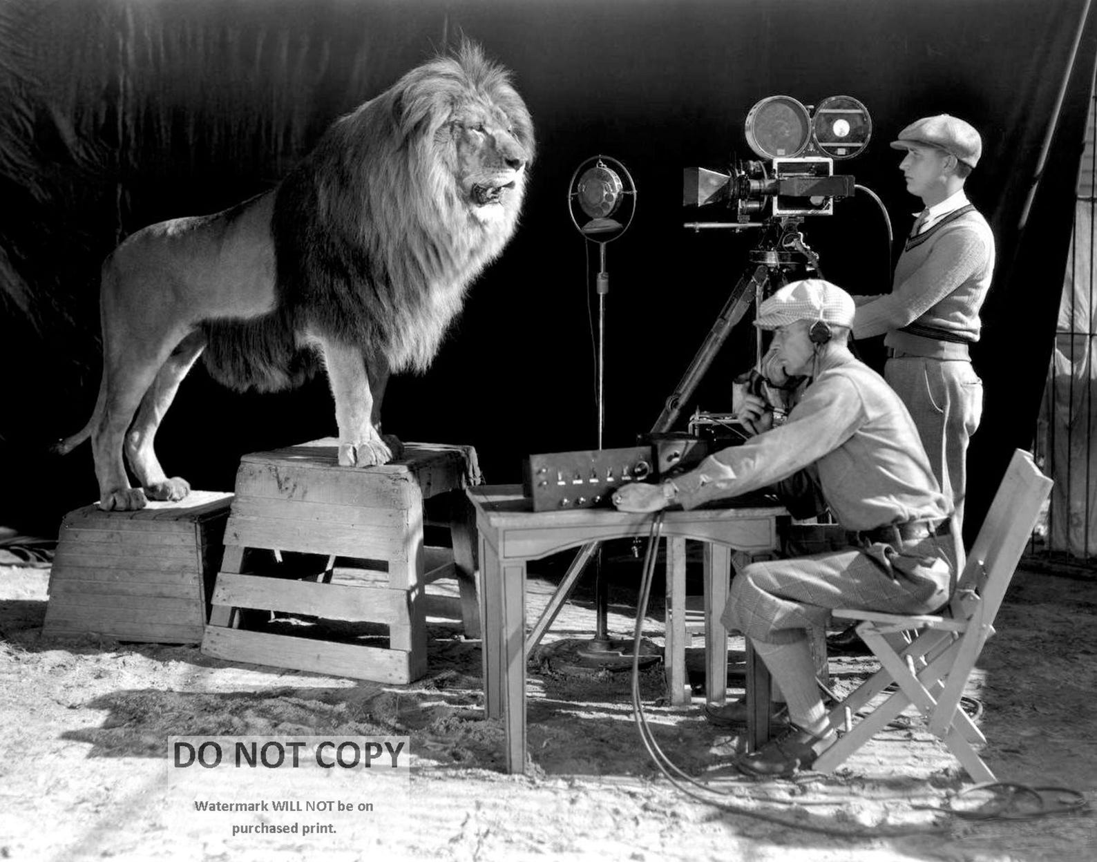 MGM Leo the Lion Filming Photo: 1928 Movie Mascot - Etsy