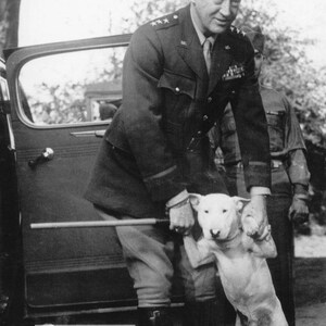 General George S. Patton With Beloved Dog willie 5X7 or 8X10 Photo AB ...