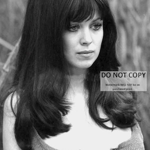 Phyllis Davis in the Film "sweet Sugar" Pin up - 5X7 or 8X10 Publicity ...