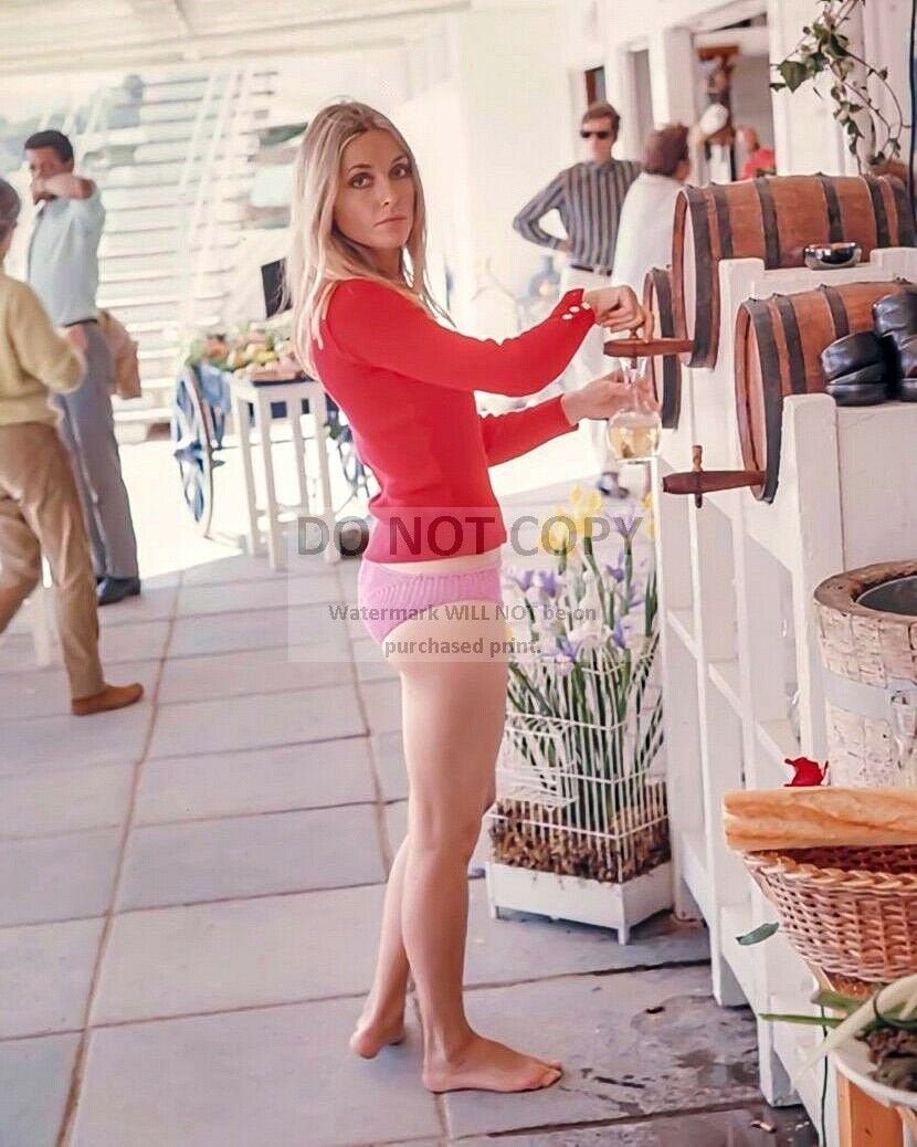 Contemporary 1940 Now 8x10 Publicity Photo Fb 311 Actress Sharon Tate Pin Up Au