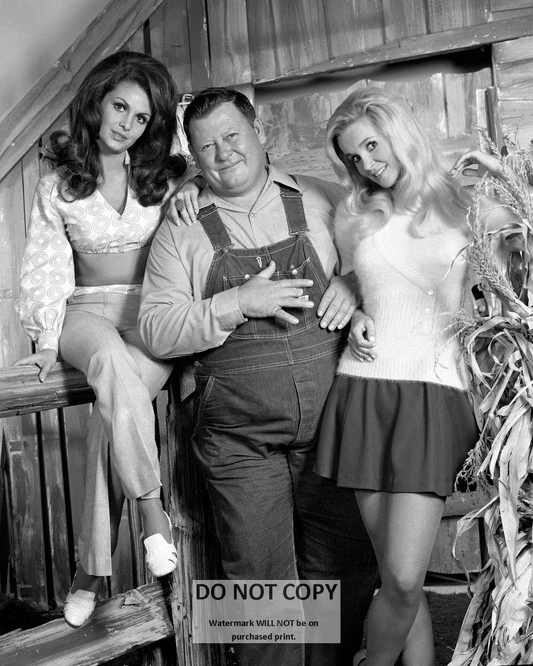 Hee-haw Publicity Photo: Dianna Scott, Junior Samples, Gunilla Hutton - Etsy