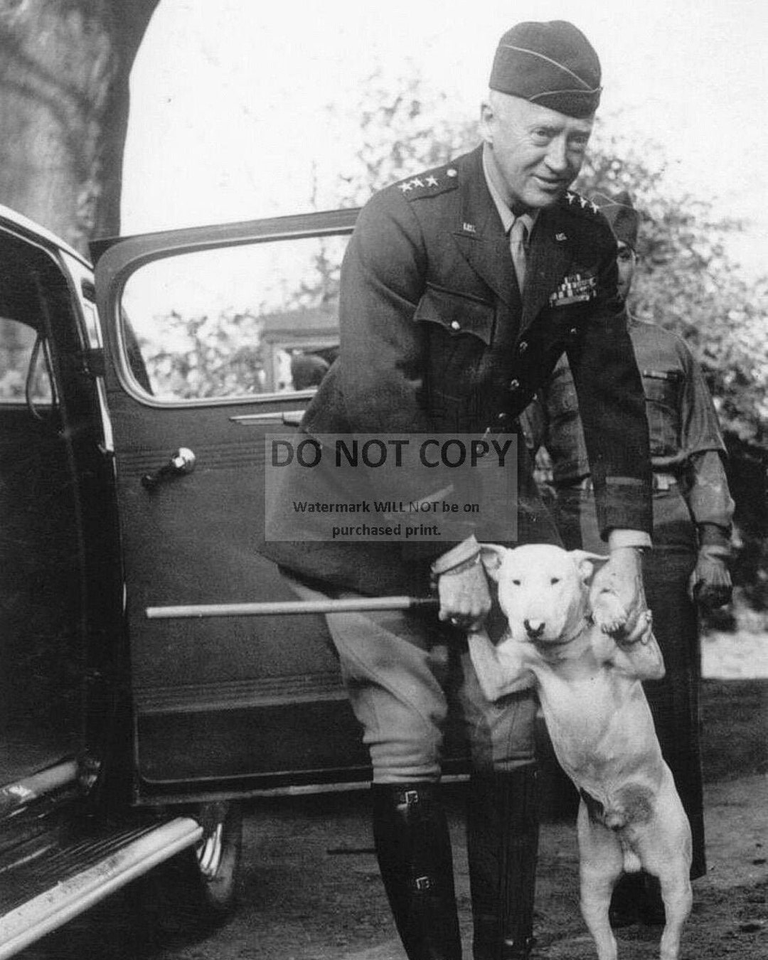 General George S. Patton With Beloved Dog willie - Etsy
