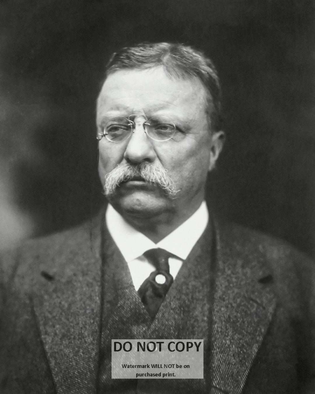 Theodore Roosevelt 26th President of the United States 5X7, 8X10 or ...