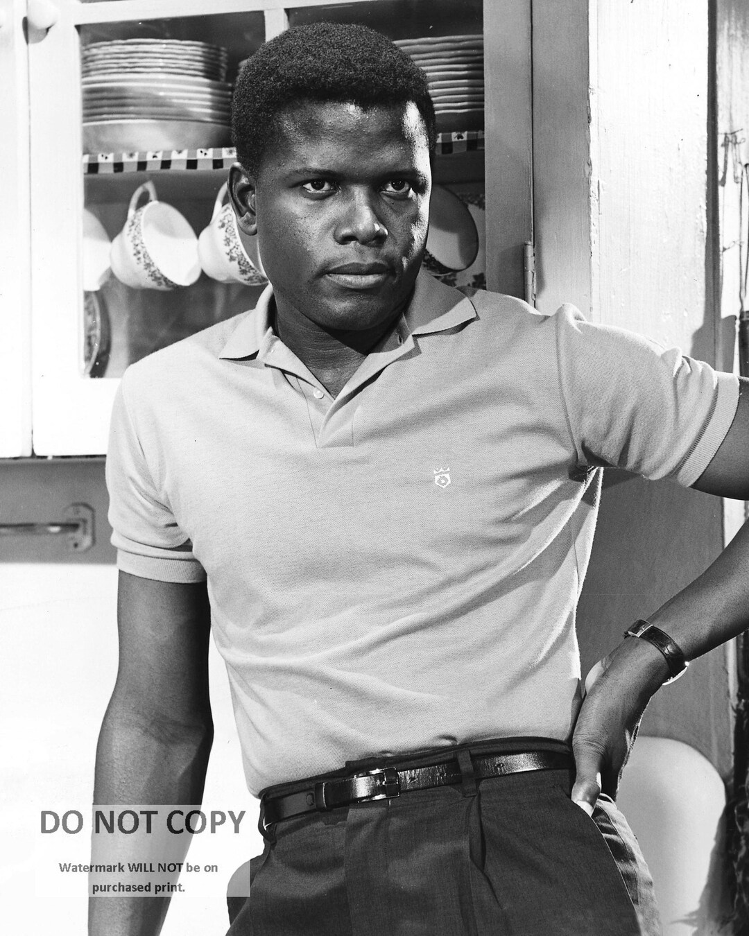 Sidney Poitier Legendary Actor - 5X7, 8X10 or 11X14 Publicity Photo (DD ...