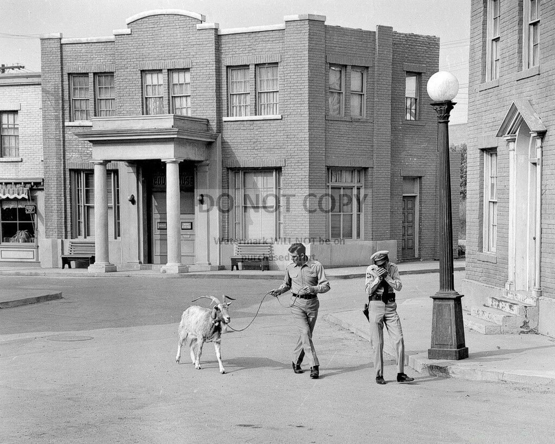 Don Knotts and a loaded Goat in the Andy Griffith Show 5X7 or 8X10 ...