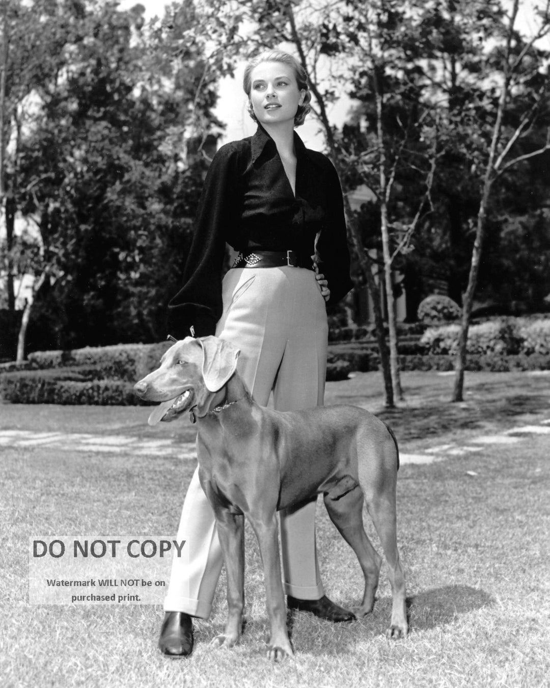 Actress Grace Kelly With One of Her Many Dogs - 5X7, 8X10 or 11X14 ...