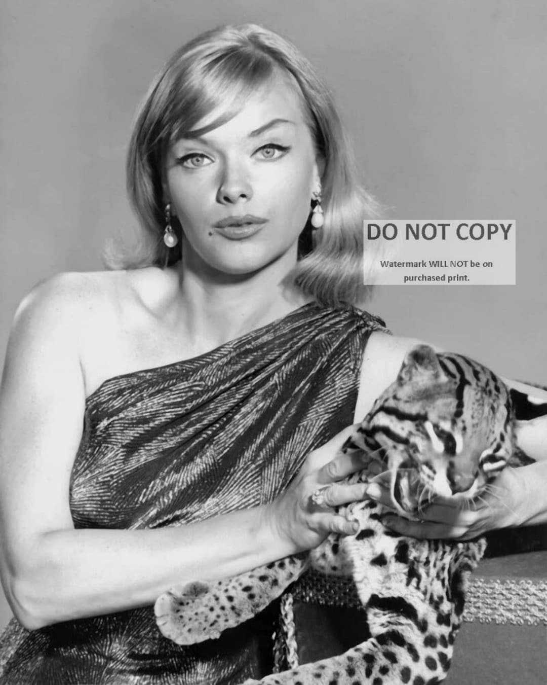 Anne Francis and Pet Ocelot bruce in the Television Series honey West ...