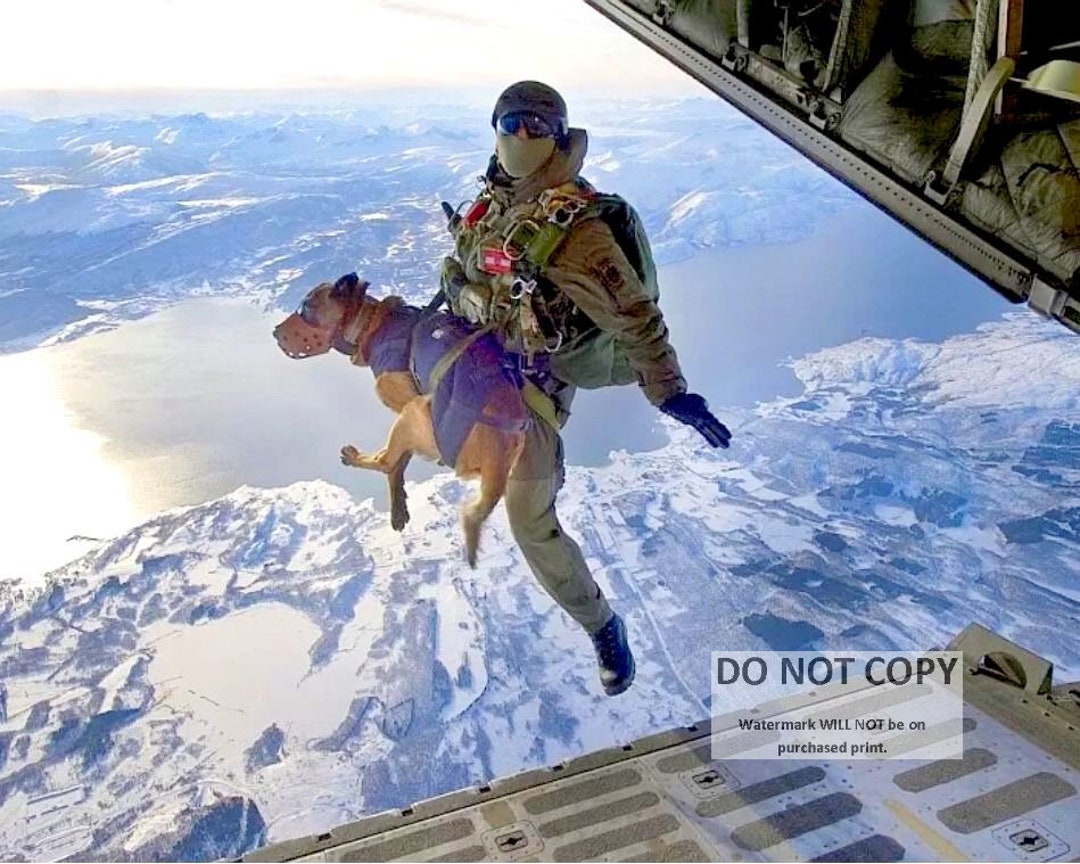 Navy Seal Jumps From Plane With K-9 Friend Dog - 5X7 or 8X10 Photo (BB ...