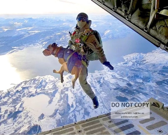 Do Navy Seals Have Dogs