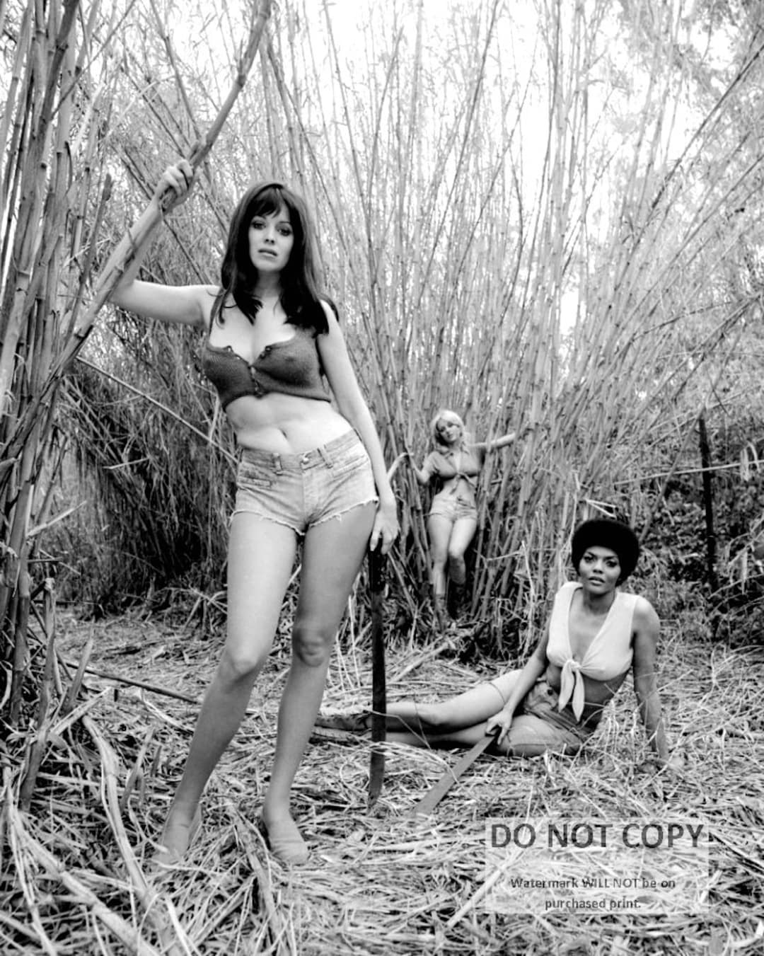 Phyllis Davis in the Film "sweet Sugar" Pin up - 5X7 or 8X10 Publicity Photo (DD-259) - Etsy