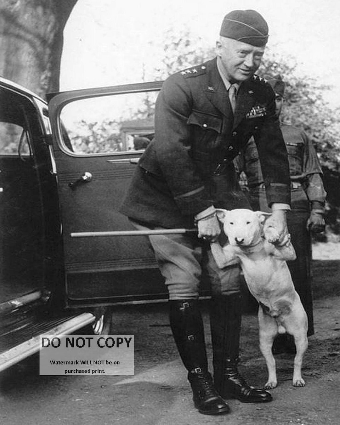 General George S. Patton With Beloved Dog "willie" - 5X7 or 8X10 Photo ...