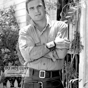 Burt Reynolds as "quint Asper" in "gunsmoke" - 5X7, 8X10 or 11X14 ...