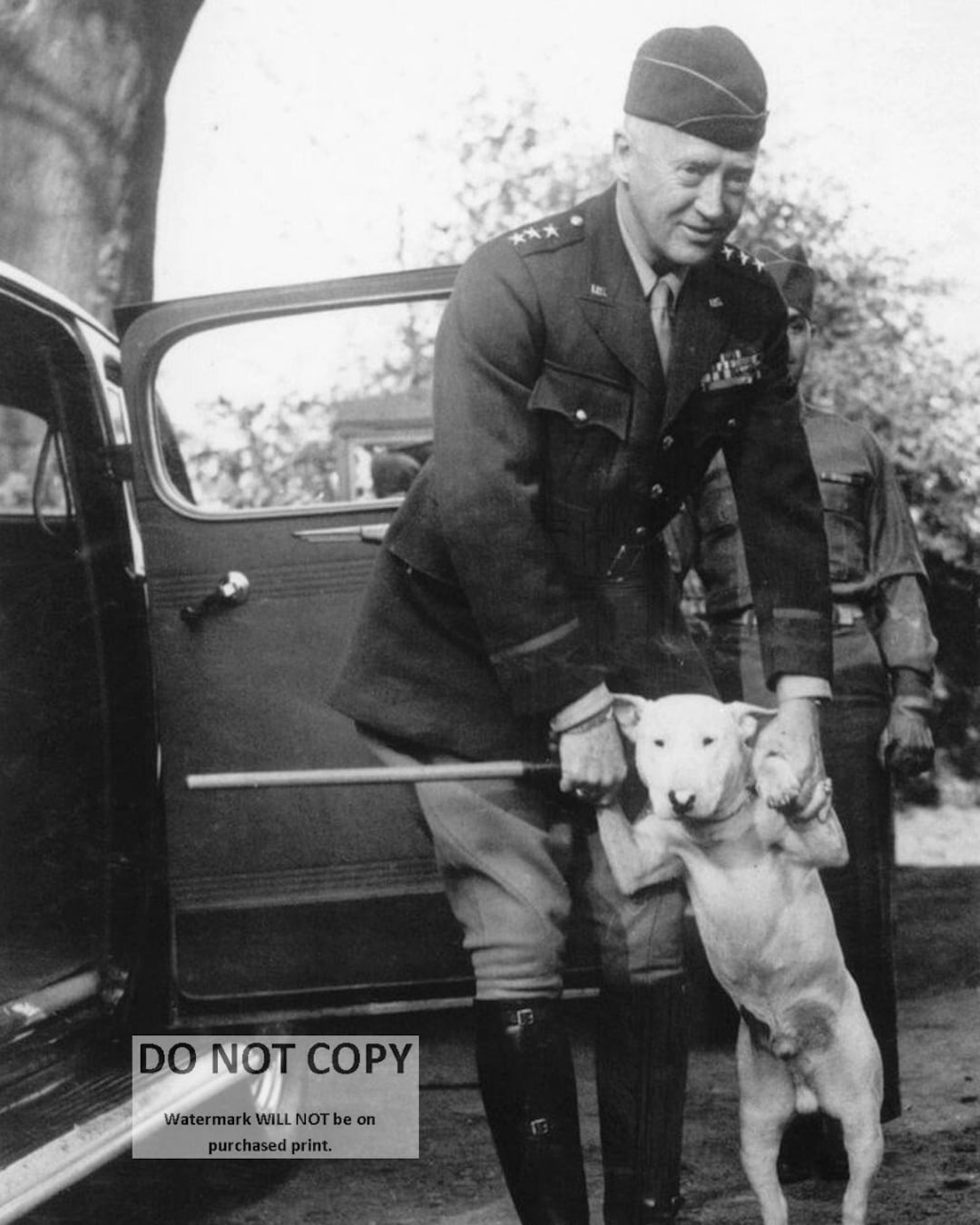 General George S. Patton With Beloved Dog willie 5X7 or 8X10 Photo AB ...