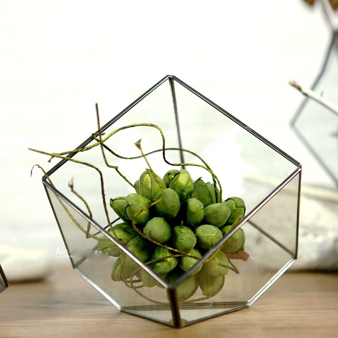 Cube Square Geometric Glass Terrarium Air-plants Succulents - Etsy