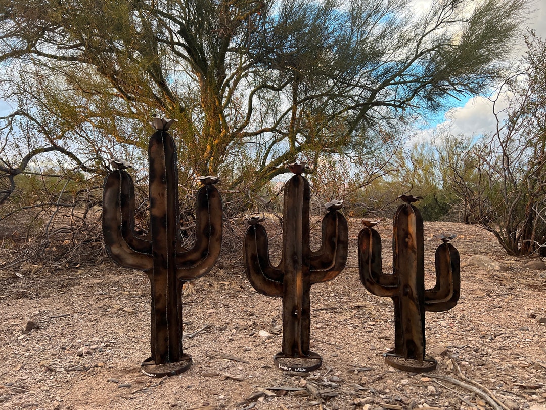 MINI SMALL Rustic Saguaro Cactus Mini Small Desert Cactus - Etsy