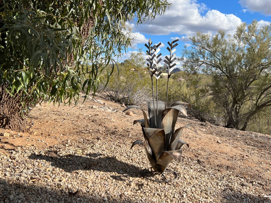 Rustic Metal Blooming Agave Arizona Desert Cactus Metal Yard - Etsy