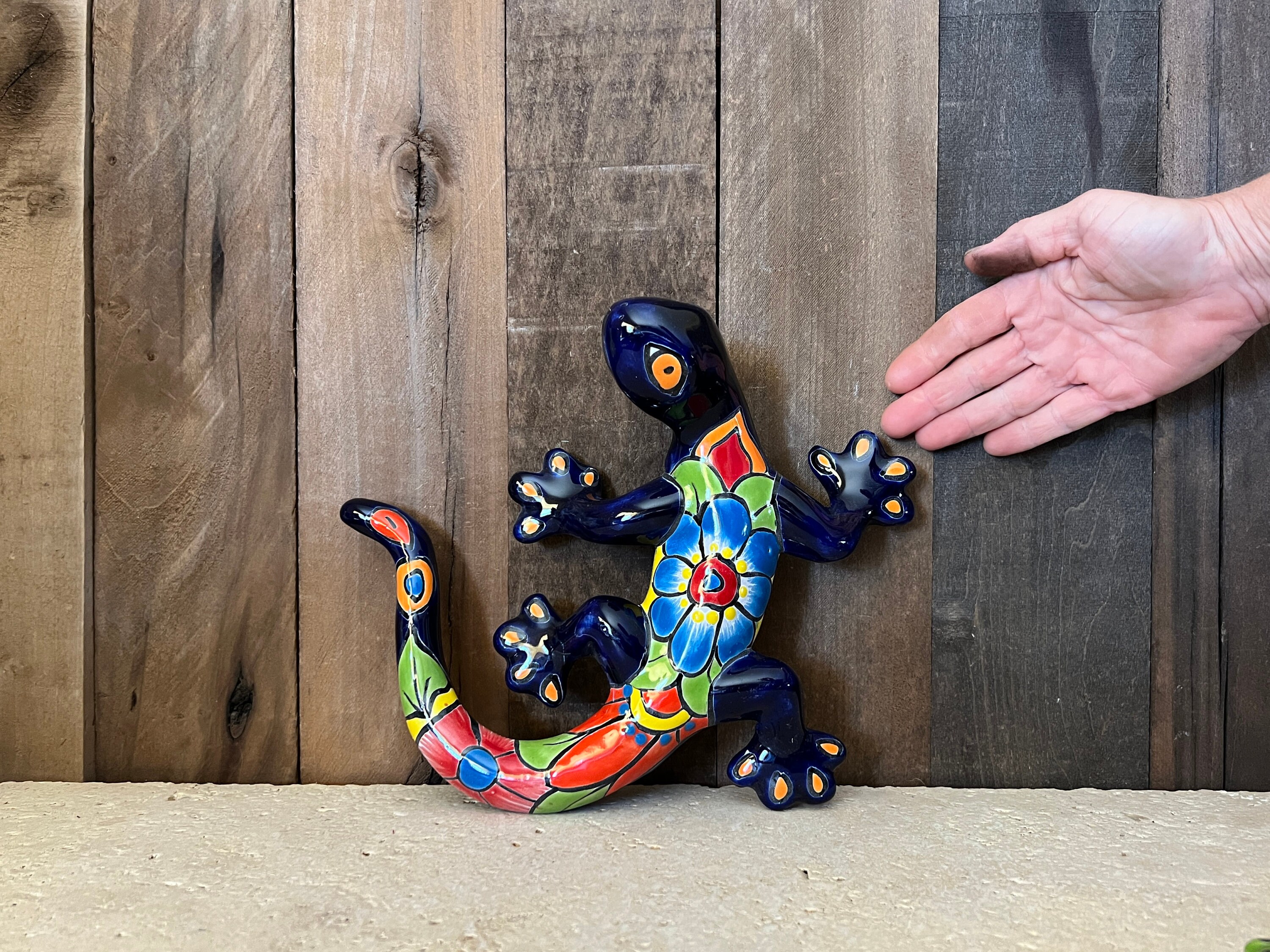 Mexican Clay Lizards