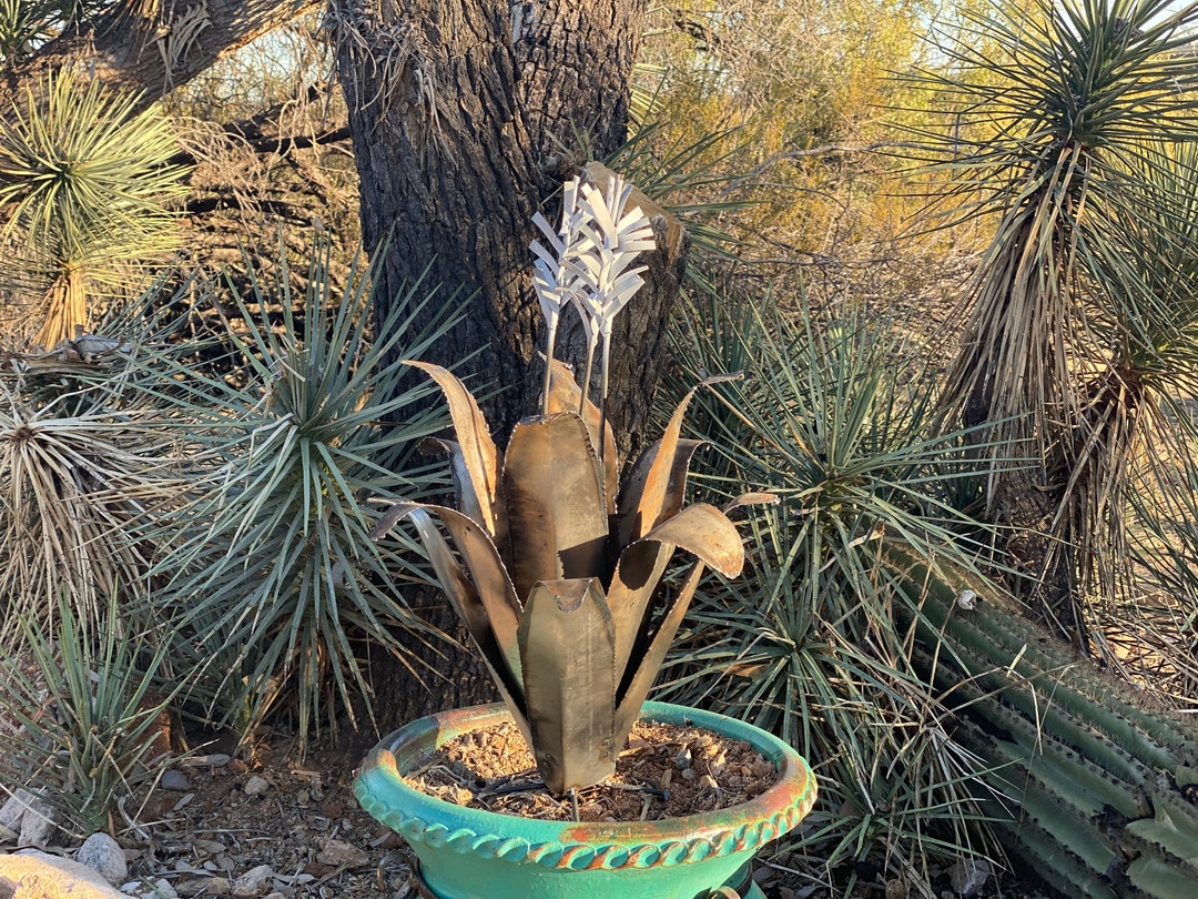 Rusty Metal Blooming Agave Arizona Desert Cactus Handmade Hand Painted ...